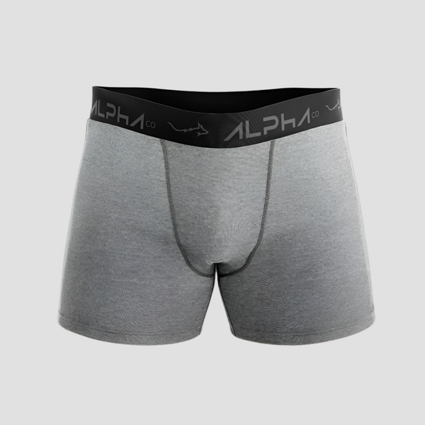 Cueca Boxer Alpha Mescla Cinza